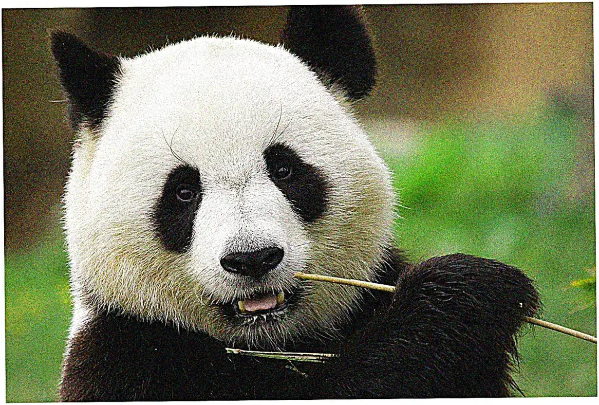 Finding Cheapest Flights to China: Seasonal Guide and Booking Tips ...